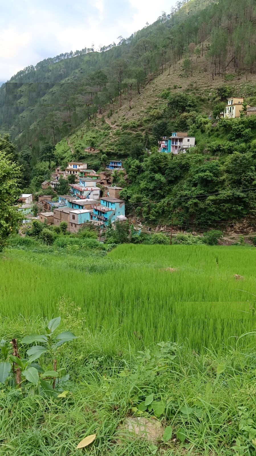 Bagad Village, Pauri Garhwal, Uttarakhand. - मेरुमुलुक.कॉम MeruMuluk.com
